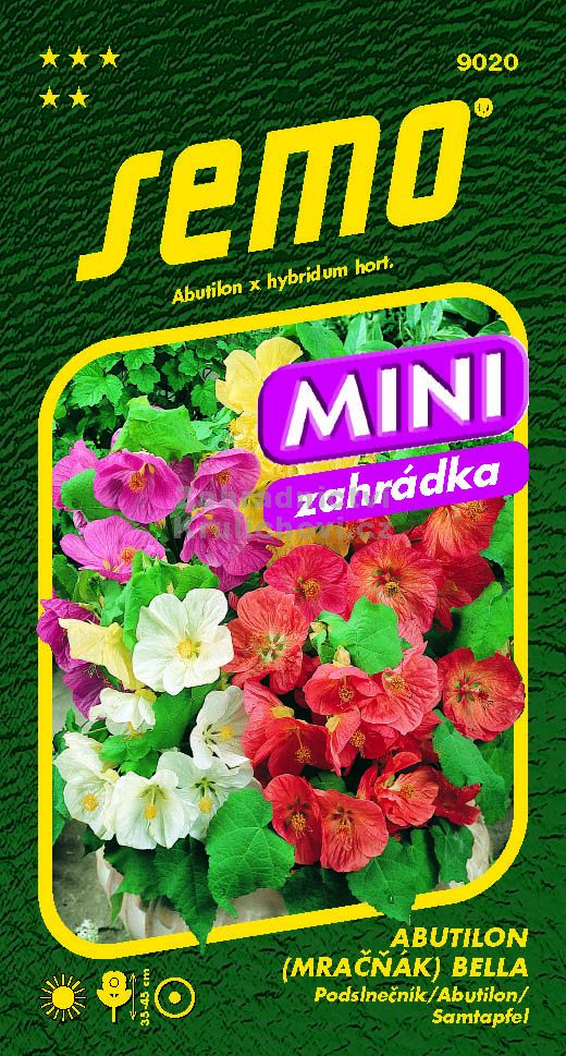 Abutilon, mračňák Zahradnictví Krulichovi - zahradnictví, květinářství ...
