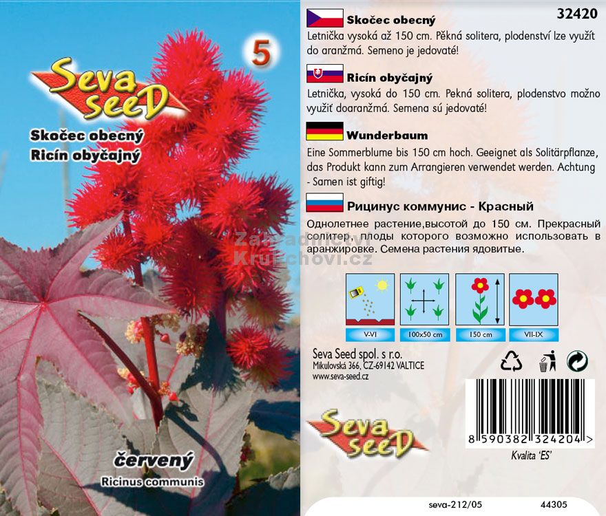 Skočec obecný - Ricinus communis Zahradnictví Krulichovi - zahradnictví ...