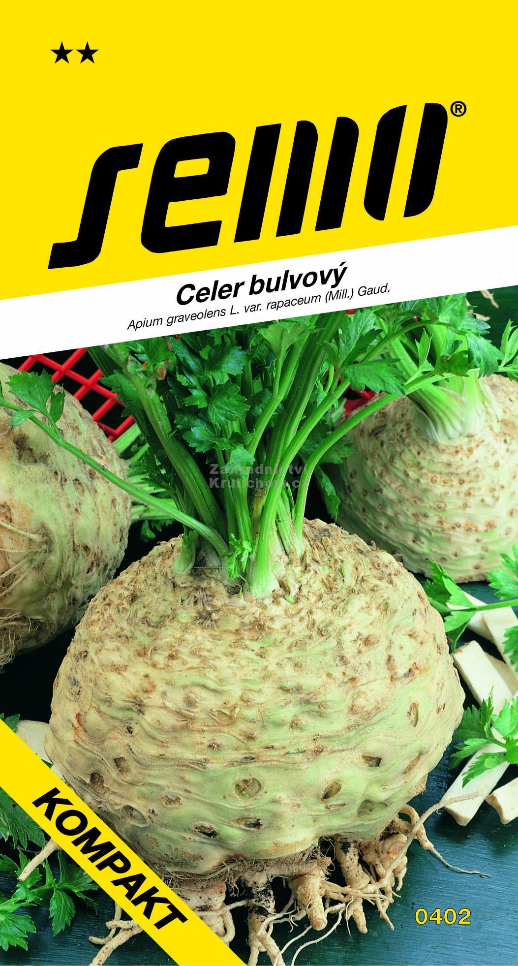 Celer bulvový " Kompakt " Zahradnictví Krulichovi - zahradnictví ...