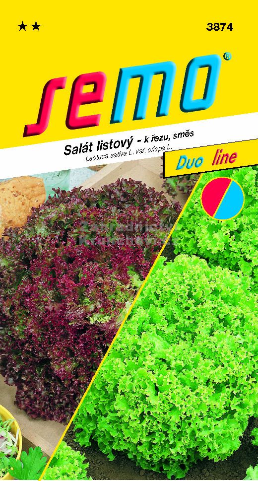 Salát listový k řezu " Lolo mix " Zahradnictví Krulichovi ...