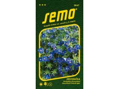 Drchnička Zahradnictví Krulichovi - zahradnictví, květinářství, trvalky ...